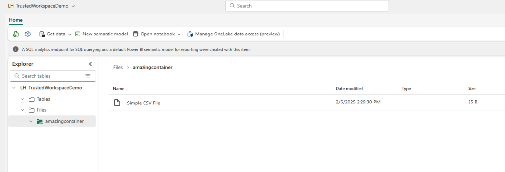 Private ADLS Gen2 access made easy with OneLake Shortcuts: a step-by ... Private ADLS Gen2 access made easy with OneLake Shortcuts: a step-by ...